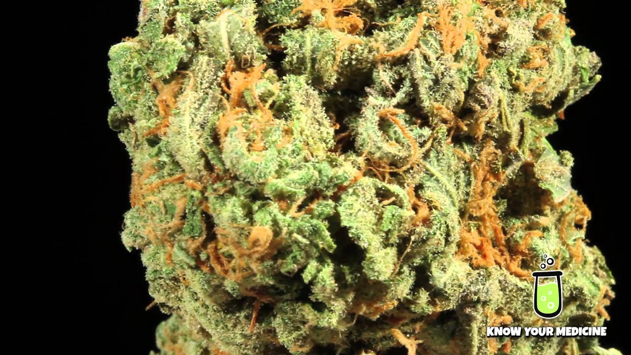 Cannabinoid Profile: CBD