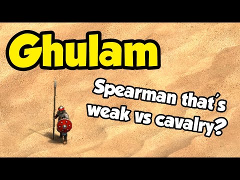 Ghulam (DLC unique unit quicktake)