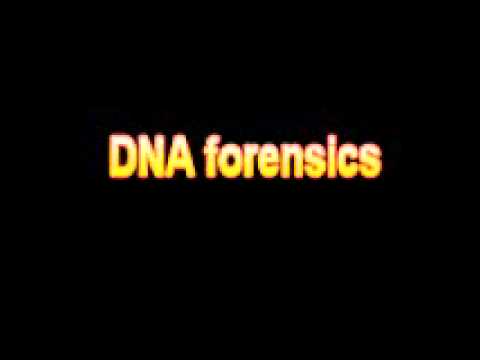 What Is The Definition Of DNA forensics - Medical Dictionary Free Online