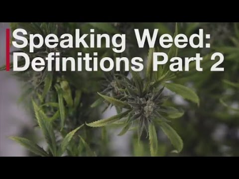 Know more weed words