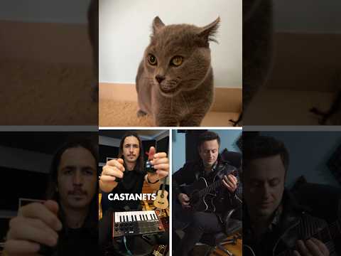 Cat makes EPIC Spanish song! 💃🏻