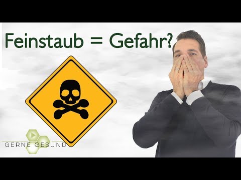Wie gefährlich ist Feinstaub tatsächlich? Besteht Grund zur Panik? - Gerne Gesund
