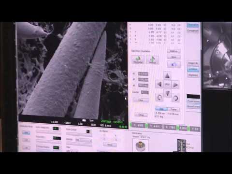 CryoSEM with JEOL Field Emission Scanning Electron Microscope and Quorum CryoSEM