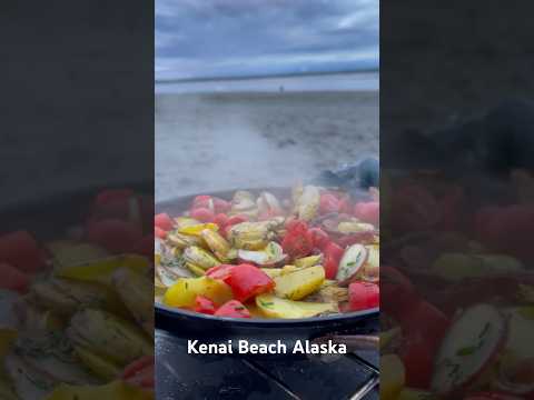Camping at the Kenai Beach #Alaska