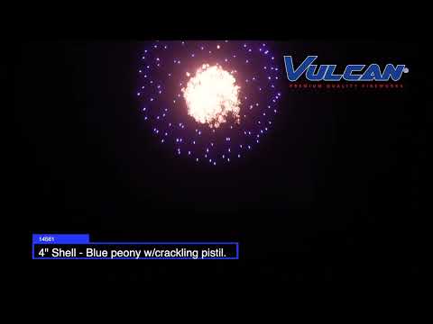 14561 - 4" Shell - Blue peony with crackling pistil.
