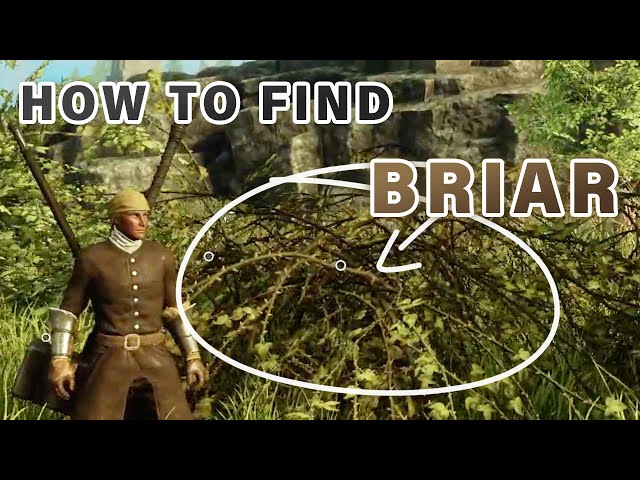 How to get Briar Branches in New World