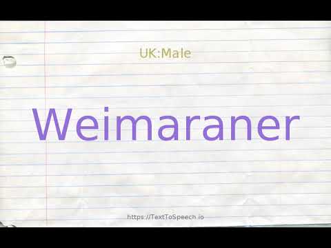 How to pronounce weimaraner