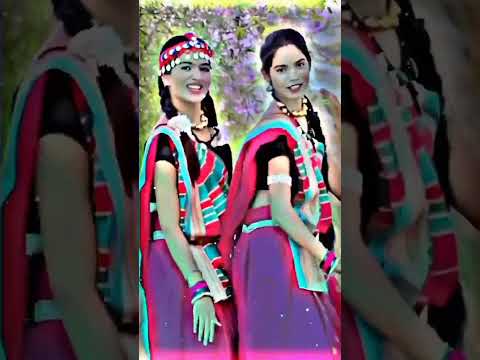 cg tik tok 2023||cgtiktok chhattisgarhi tik tok | cg viral #cgreels #viral #cg #tiktok #shorts #new
