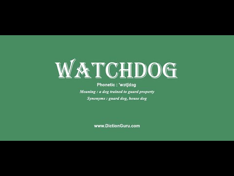 watchdog: Pronounce watchdog with Phonetic, Synonyms and Examples