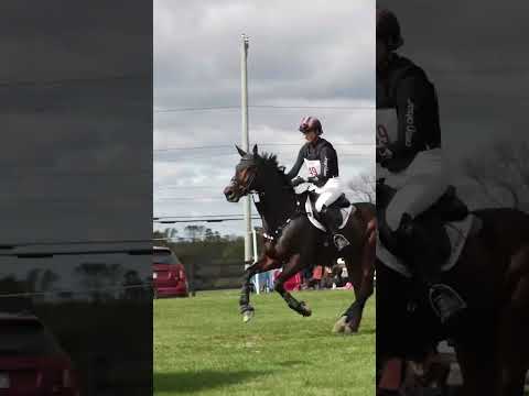 Caroline delivered 🥇 USEF CCI3*-L Champion 🏆 #usaeventing
