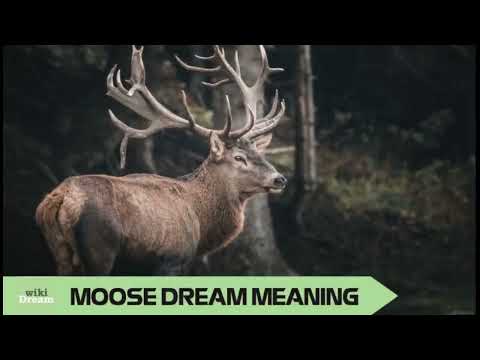 MOOSE dream meaning: Primal instincts and wilderness symbolism