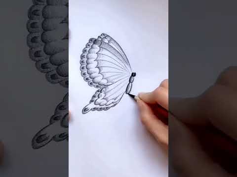 #butterfly #flower #pencil #sketch #drawing #pencildrawing #art #artist #commissionopen #artwork