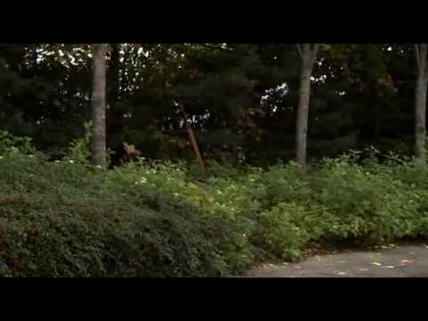 Limmy's Show - Mysterious Lever