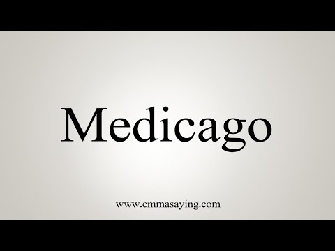 How To Say Medicago