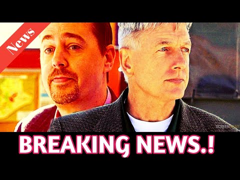 NCIS Season 22 Establishes Timothy McGee's Best MCRT Replacement