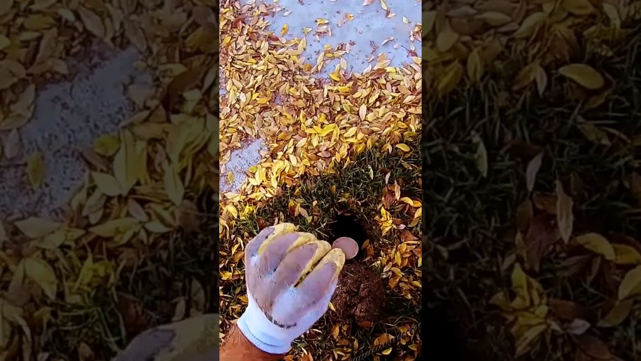X-Terra Pro Metal Detector Scores AGAIN!  LESS is MORE!!!