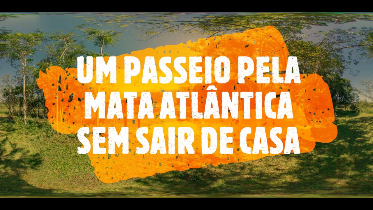 TOUR 360º - RPPN Reserva Ecológica de Guapiaçu (REGUA)