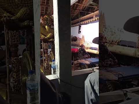 Dalang wayang kulit Jawa #fyp #viral #sevenringproject