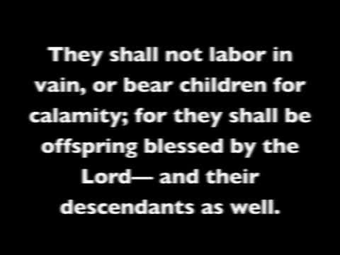 Isaiah 65: 17 - 25