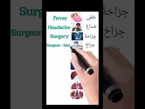 You need these words| learn Arabic and English| harun