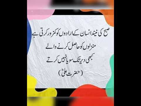 Heart Touching Urdu Quotes About Life | Amazing Motivational quotes collection | Urdu islamic quotes