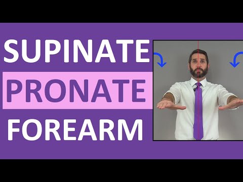 Supination vs Pronation Movement of Forearm, Hand Anatomy Review
