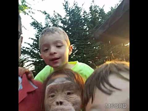 Monkey face!