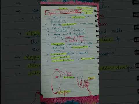 Main characteristics of phylum platyhelminthes#class11#biology#unit4