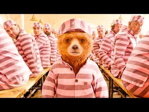 An innocent BEAR manages to RULE THE WORLD'S MOST BRUTAL PRISON in less than 24 HOURS - RECAP