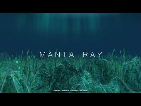 DARPA’s Manta Ray Underwater Drones Enter Phase 2, Demo Vehicles on the Way - autoevolution