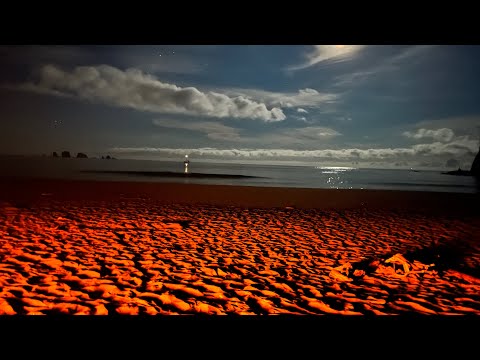 La Push Washington Drone Footage
