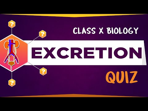 mcq #excretion (quiz): Life Processes: ncert class 10 Biology: CBSE Science Syllabus