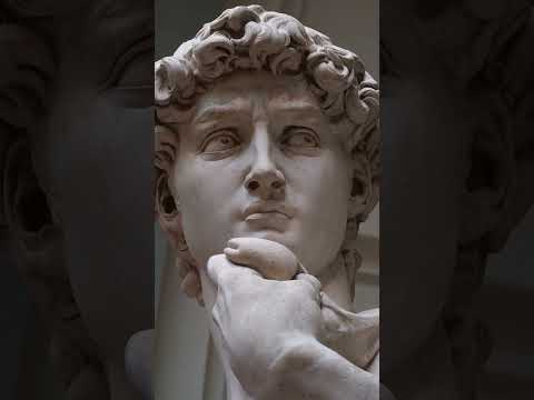 Michelangelo’s David: Anatomy Uncovered