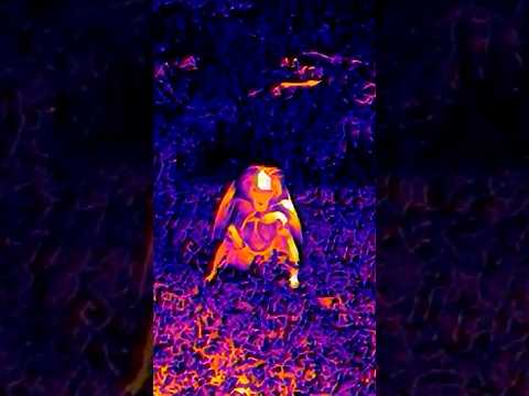 Thermal imaging camera | Spot hidden wildlife, leaks and more! #nightvision #thermalimagingcamera