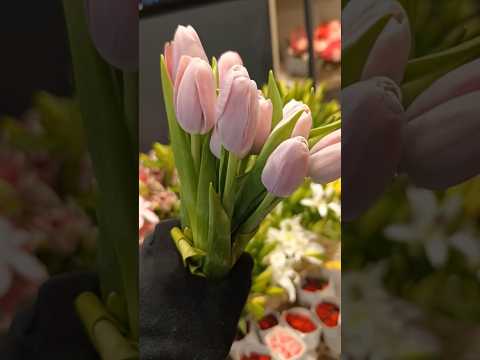 pink tulip 🌷 flower #flowers #beautiful #real tulip flower #beautiful#flowergift #fabulousflowers