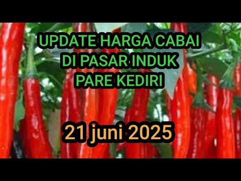 update harga cabe rawit 21 juni 2025 di pasar induk pare kediri