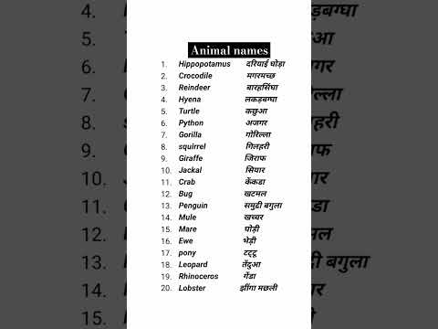 #English #meaning #of #anima #names.
