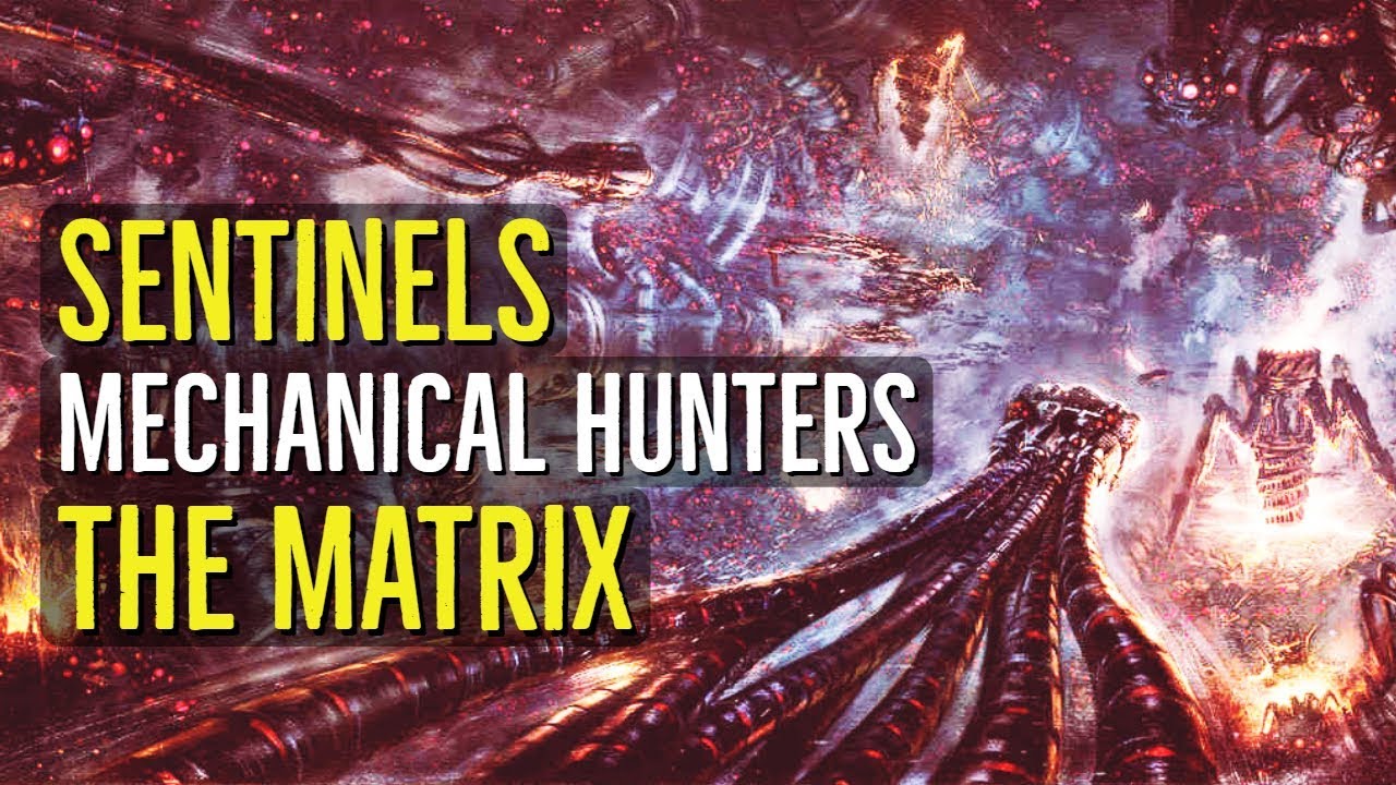 Sentinels (MECHANICAL HUNTERS) The Matrix Explained