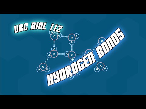 Chemistry for Biology: Hydrogen Bonds - Biol 112 at UBC