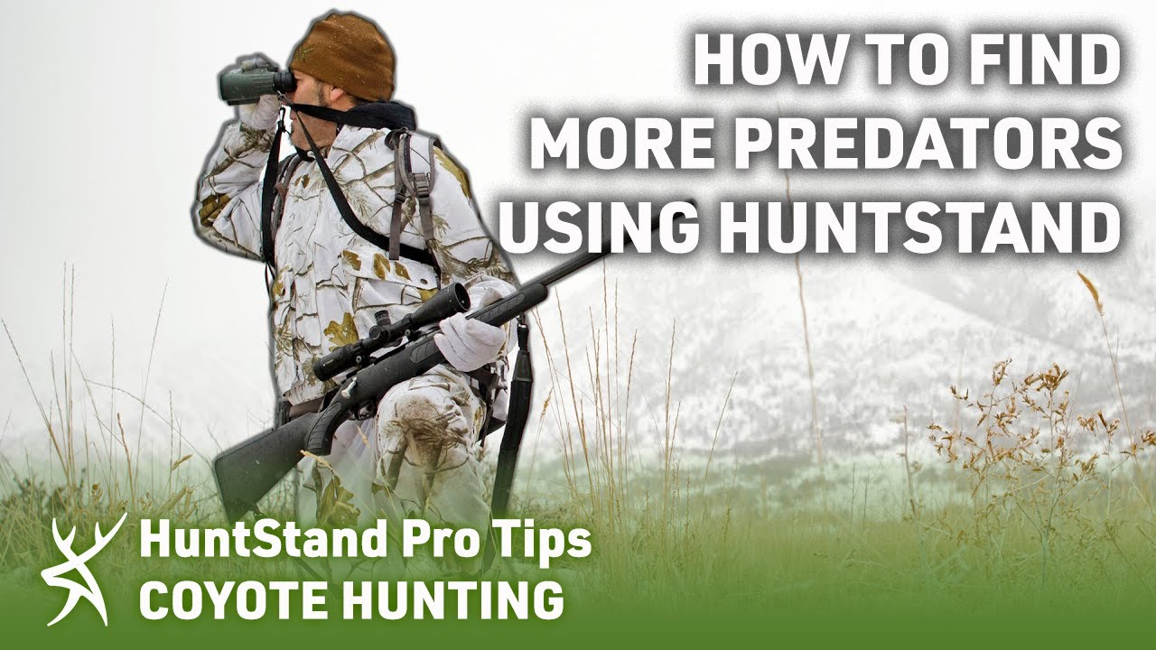 HOW TO Find MORE Predators with HuntStand || COYOTE HUNTING