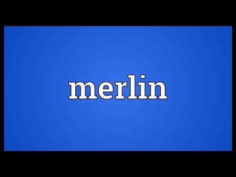 Merlin Meaning