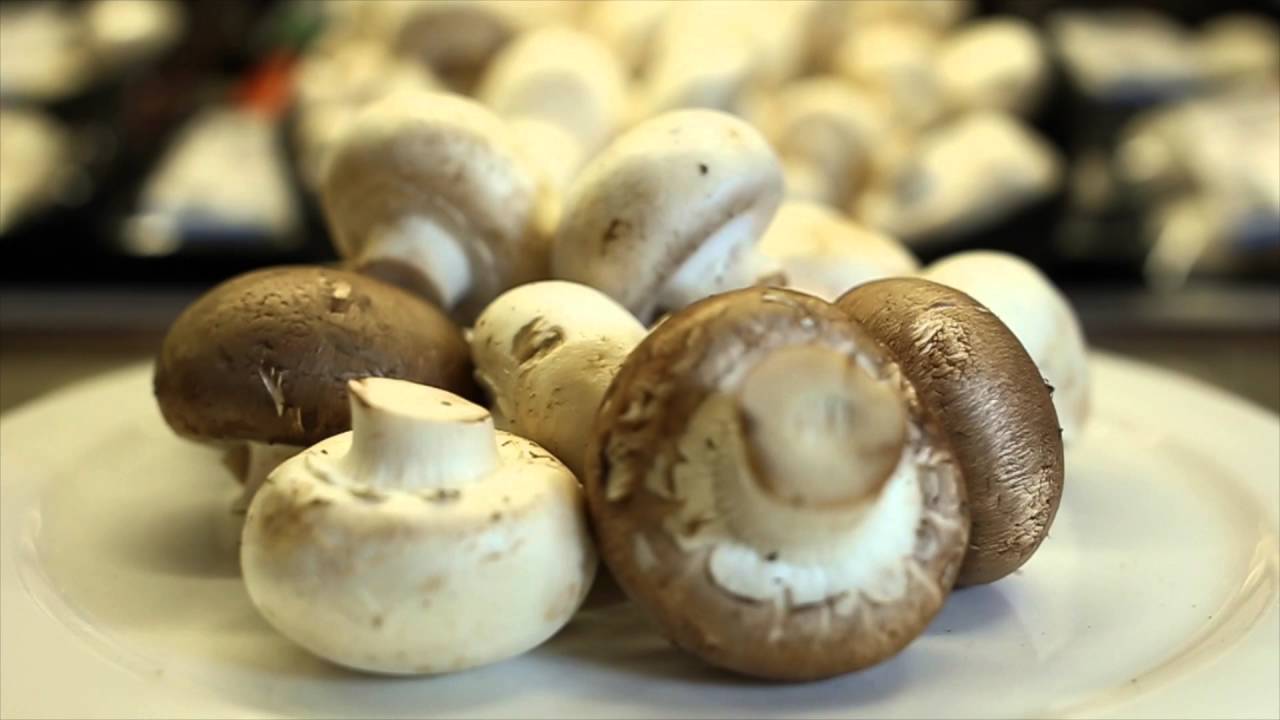 Half Your Plate with Chef Michael Smith: Slow Cooker Mushroom and Spinach Stew