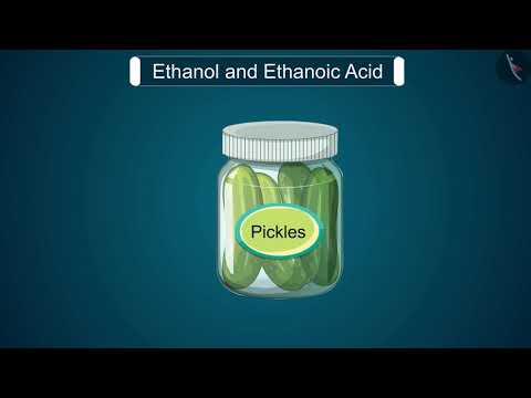 Ethanol and Ethanoic Acid | Part 1/1 | English | Class 10