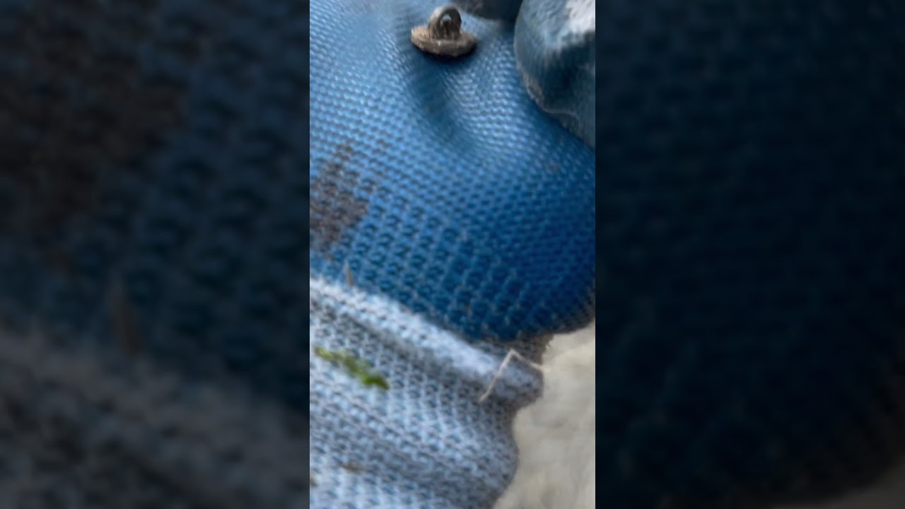 Little Button #environmentalcleanup #metaldetecting #xterrapro