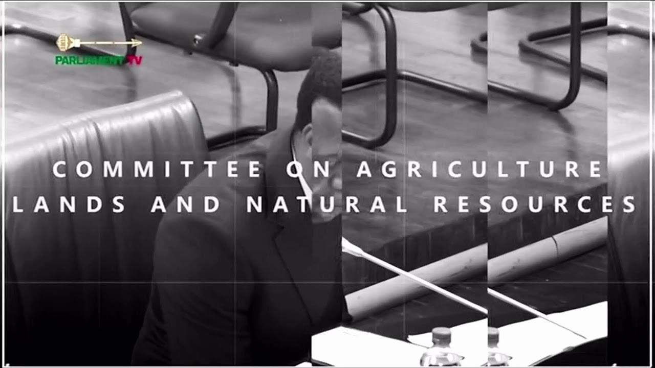 WITNESS: THE COUNCIL SECRETARY KAWAMBWA TOWN COUNCIL