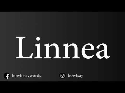 How To Pronounce Linnea