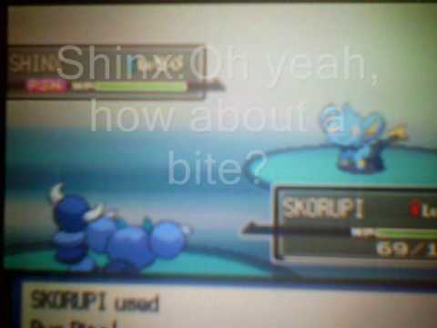 Fun with pokemon;Skorupi V.S. Shinx: Bite Fight