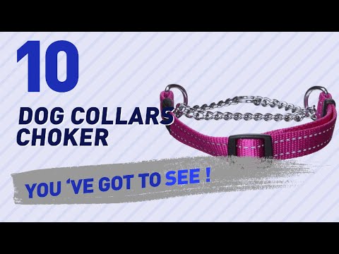 Dog Collars Choker // Top 10 Most Popular