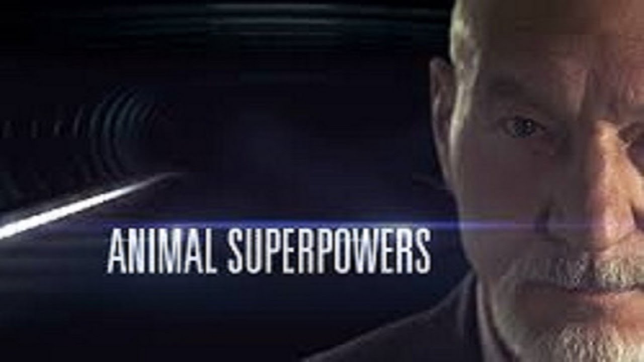 Animal Superpowers  S1 E2