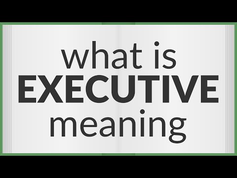Executive | meaning of Executive